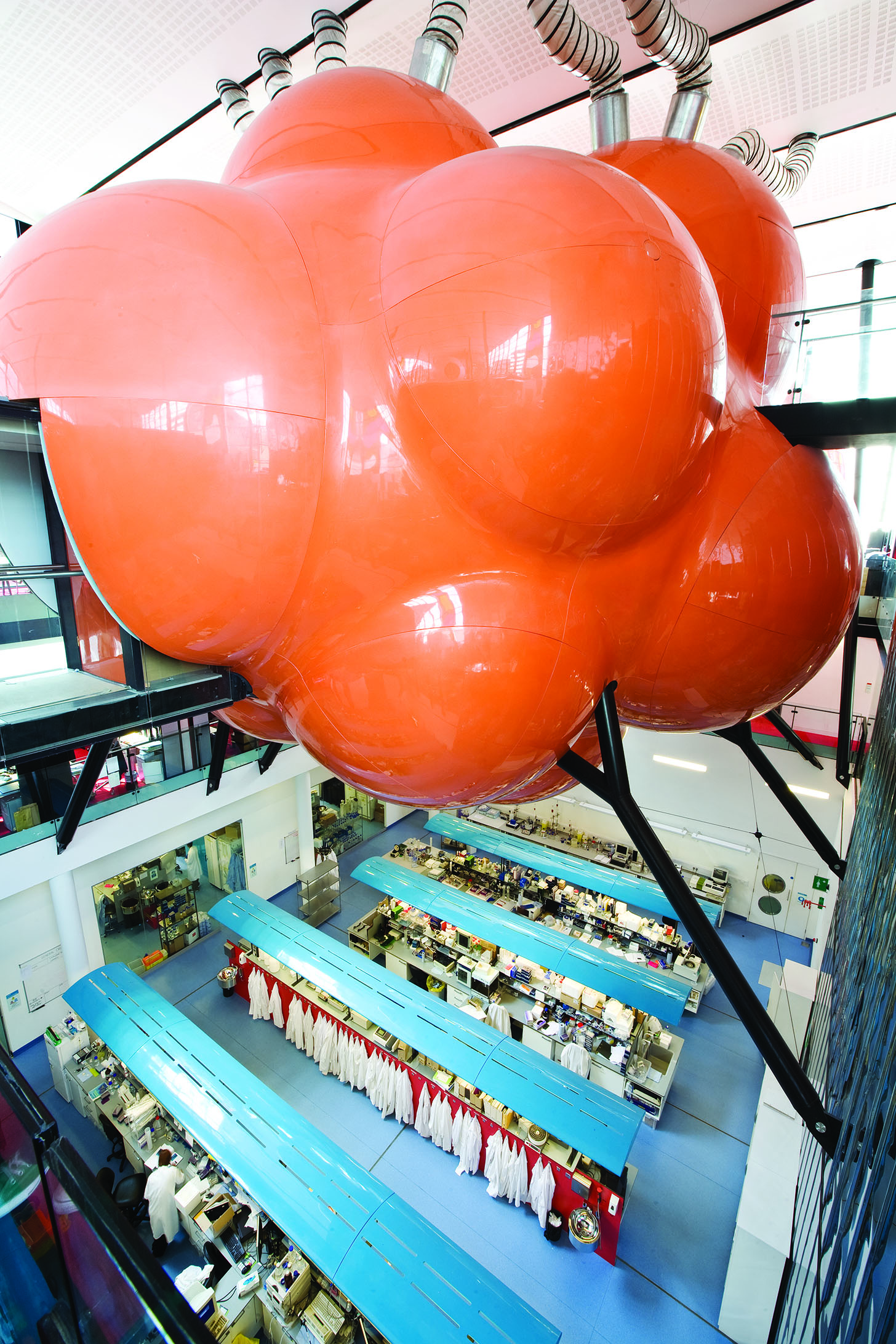 Our history - Centre of the Cell