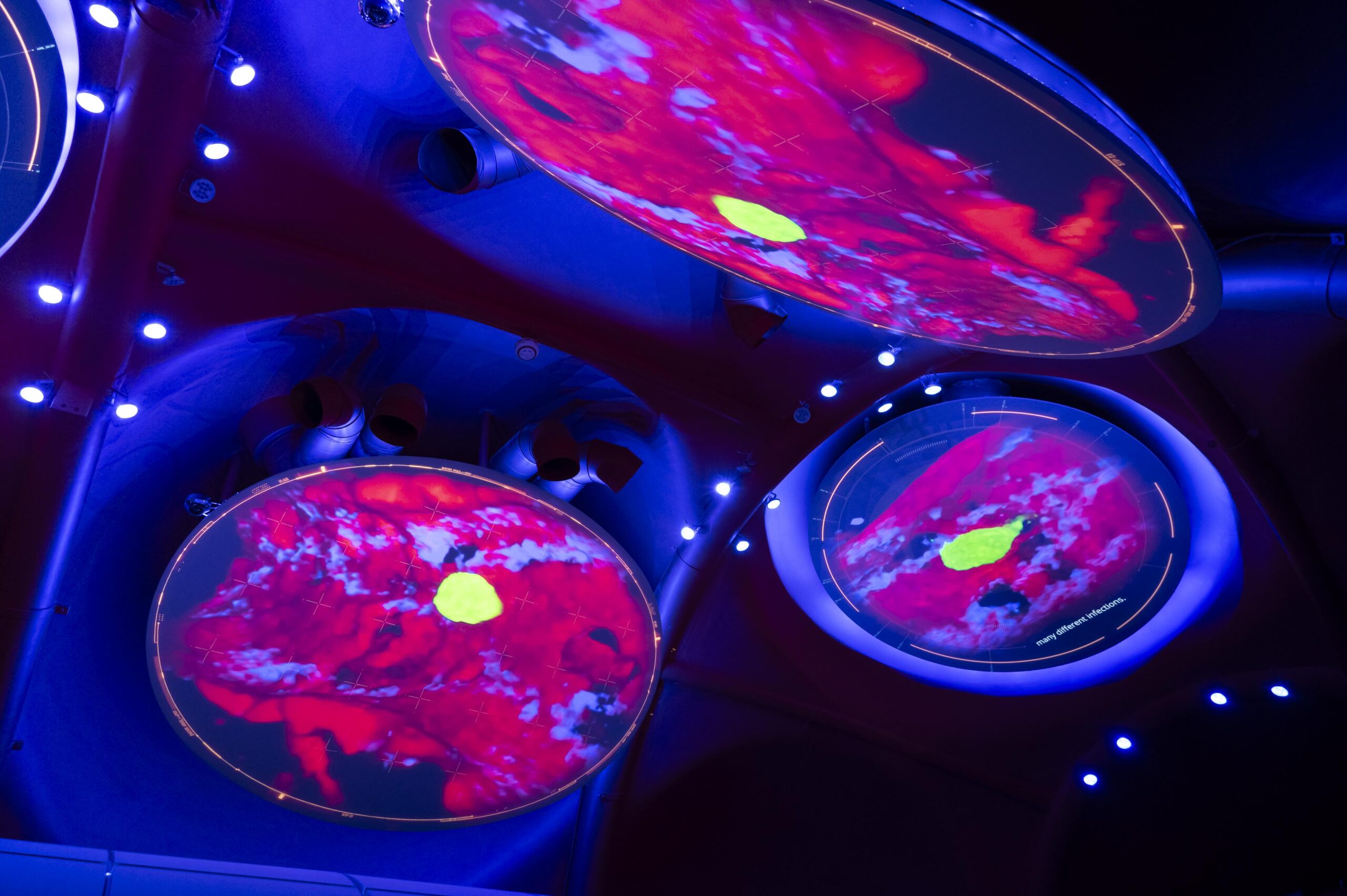 Visit - Centre of the Cell