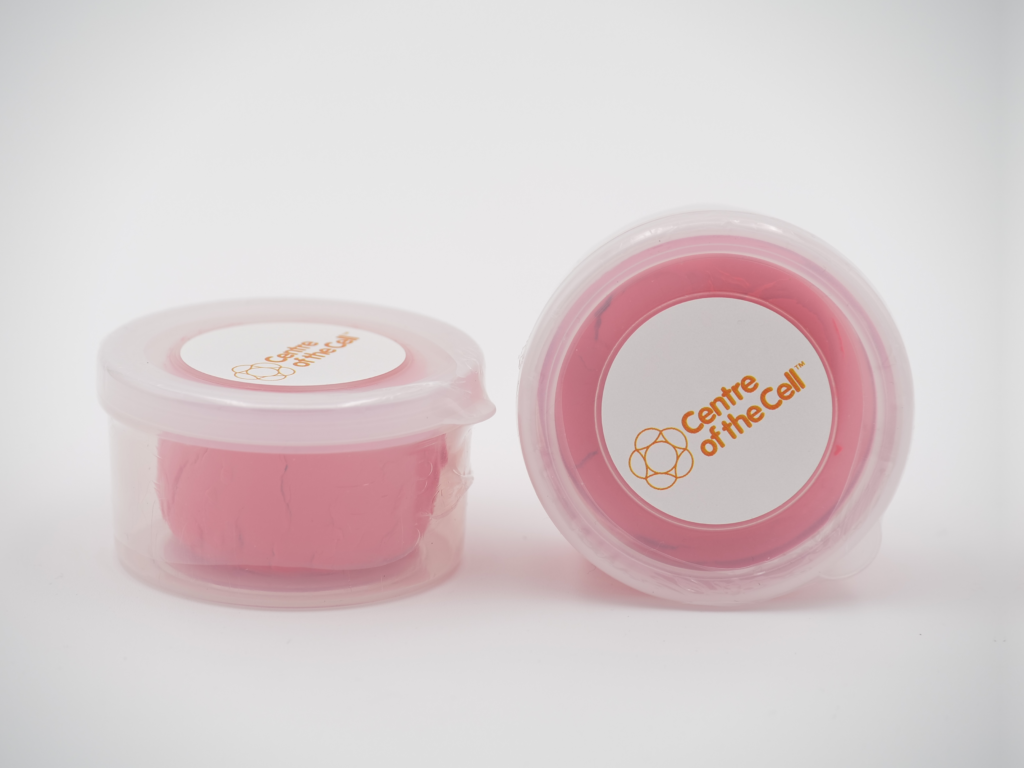 Putty - Centre of the Cell