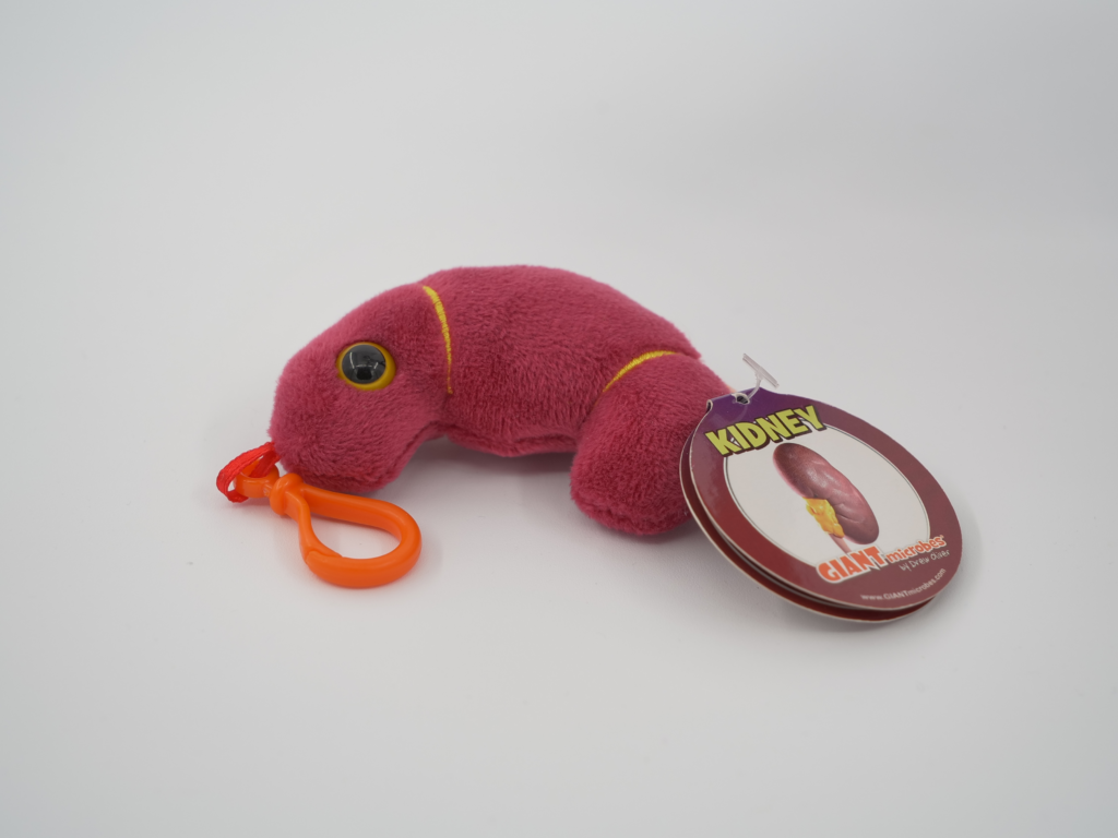 GIANTmicrobes® Kidney key chain - Centre of the Cell