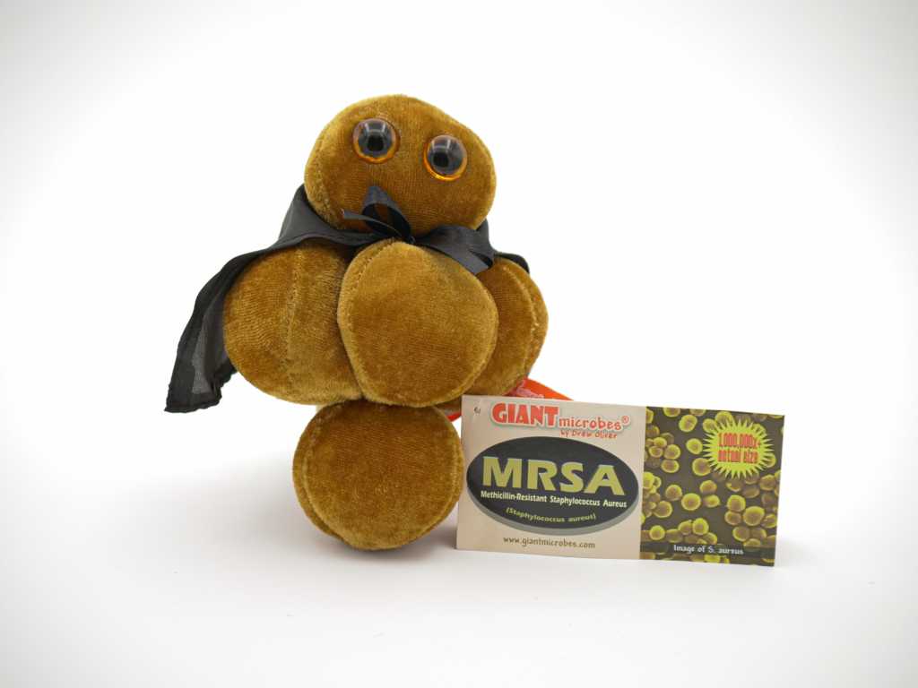 GIANTmicrobes® – MRSA - Centre of the Cell