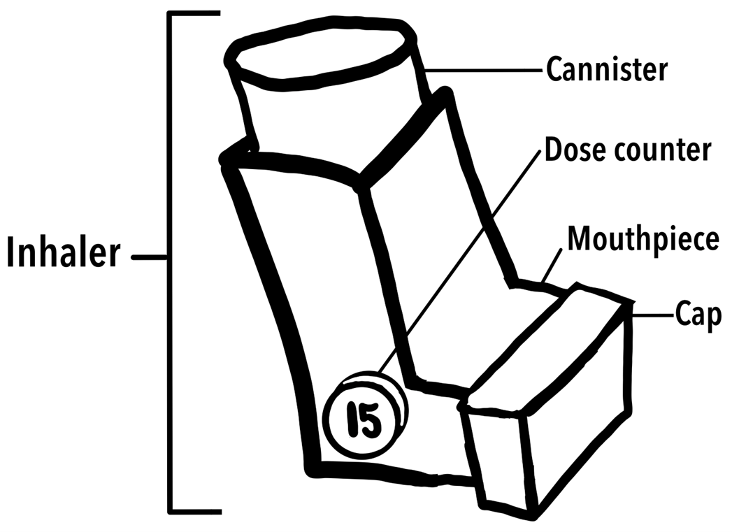 What is an inhaler? - Centre of the Cell