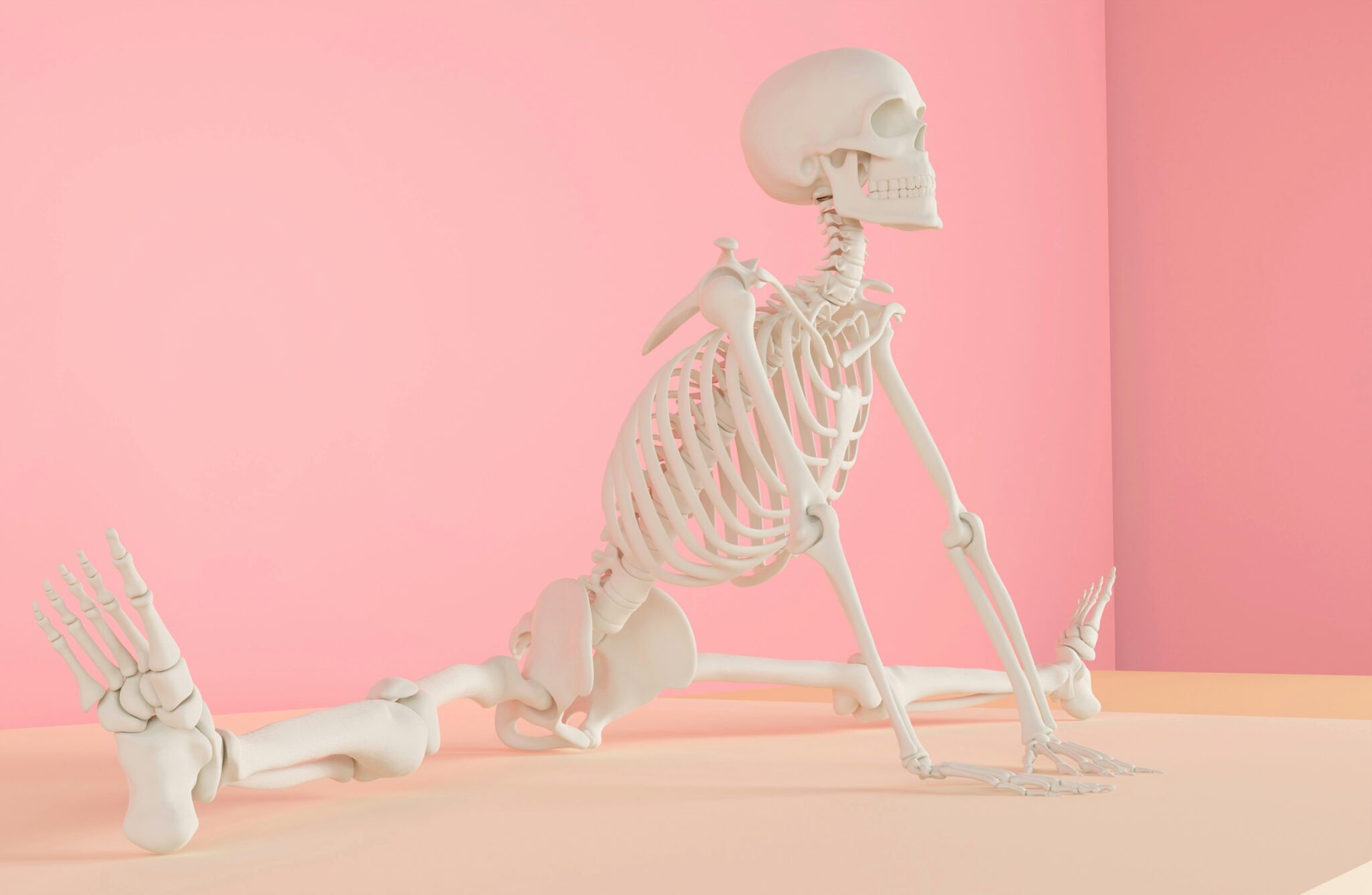 Is my skeleton alive? - Centre of the Cell