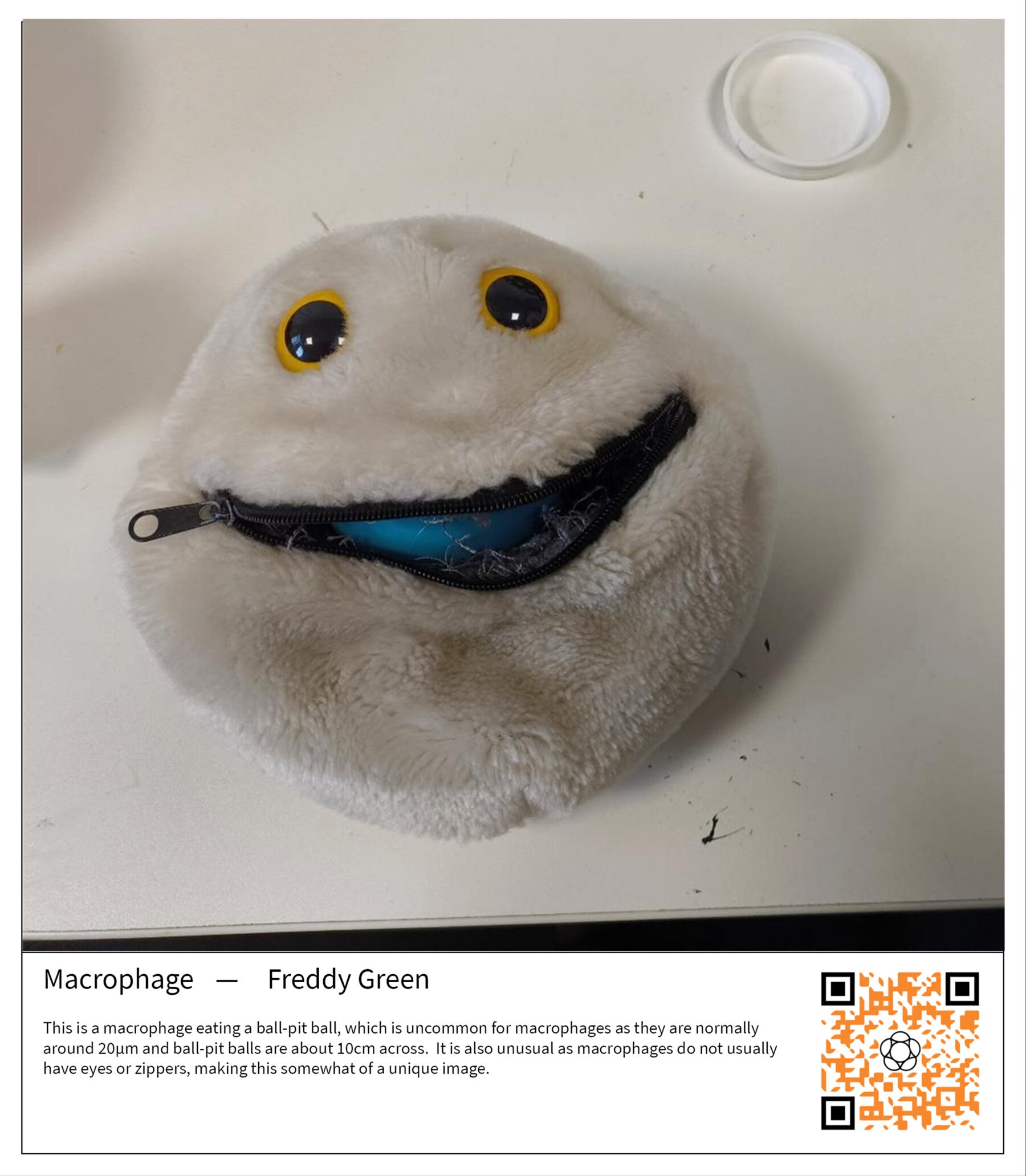 Neuron Pod image competition - Centre of the Cell