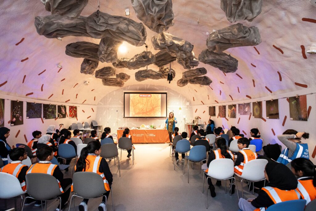 Neuron Pod image competition - Centre of the Cell