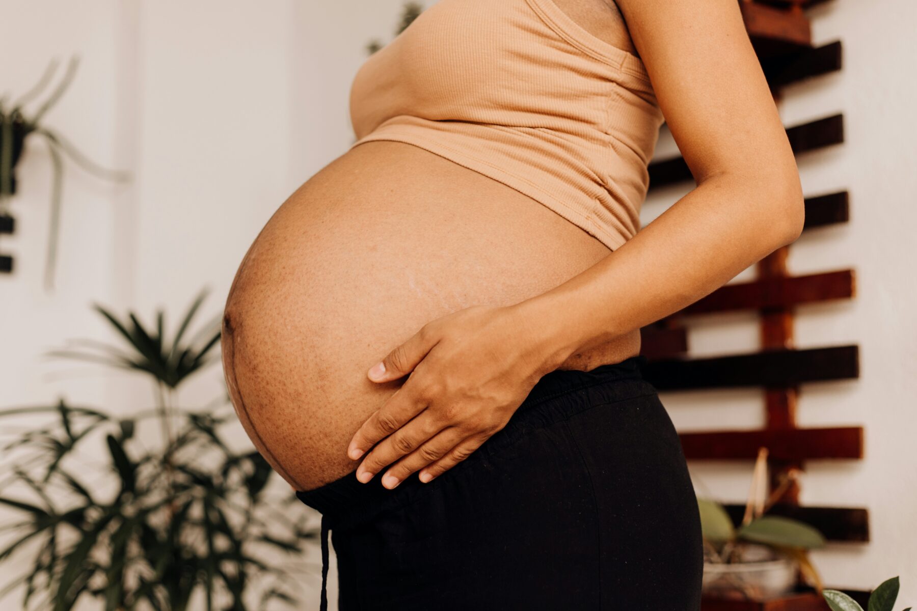 What is a placenta? - Centre of the Cell