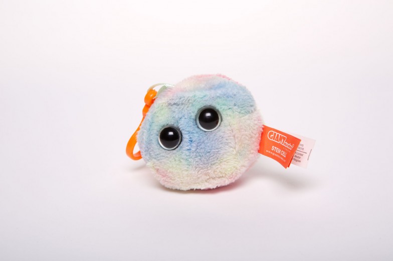 GIANTmicrobes® - Stem cell key chain | Centre of the Cell